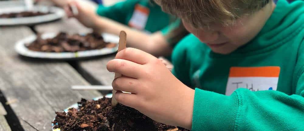 Montessori Summer Camp & Programs | Pinewoods Montessori